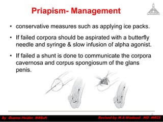 Emergencies (non traumatic) | PDF