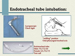 Emergency In Dentistry Part 1 | PPT