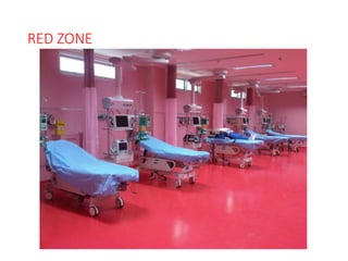 EMERGENCY AND DISASTER NURSING ROLE.pptx