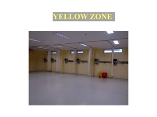 EMERGENCY AND DISASTER NURSING ROLE.pptx | Free Download