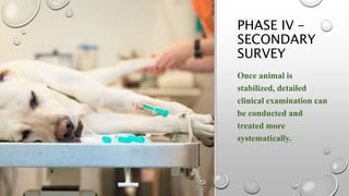 Veterinary Emergency Medicine | PPTX