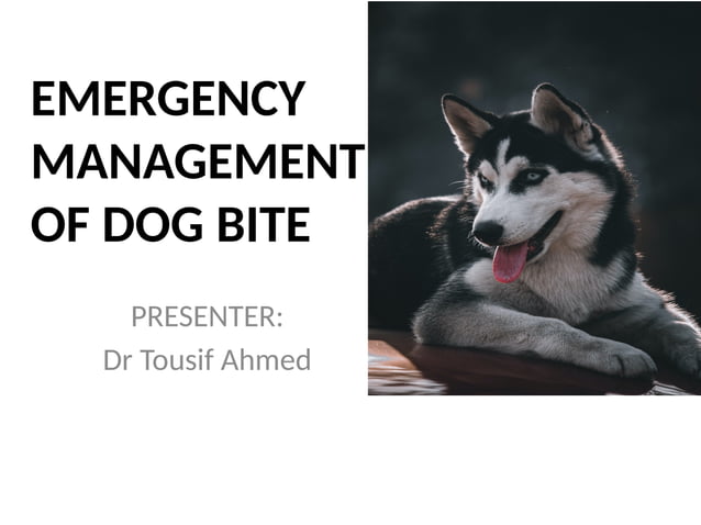 EMERGENCY DEPARTMENT MANAGEMENT OF DOG BITE.pptx