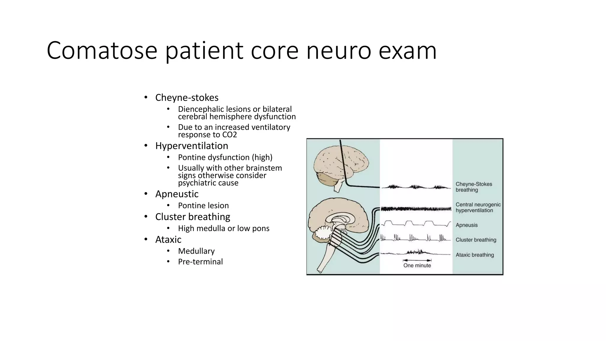 Emergency department neurosurgical admissions | PPTX