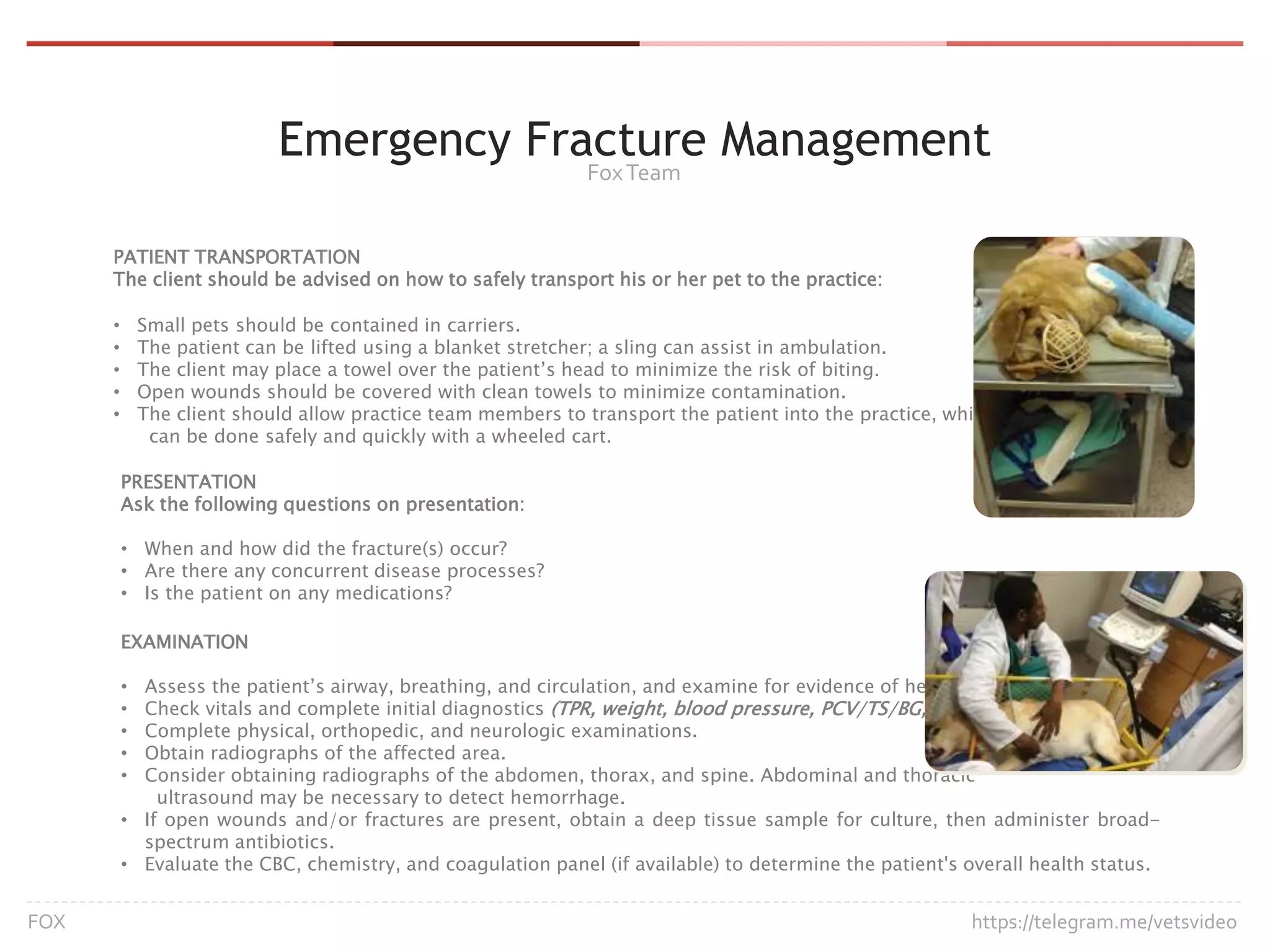 Emergency fracture management - Mostafa Qalavand | PPT