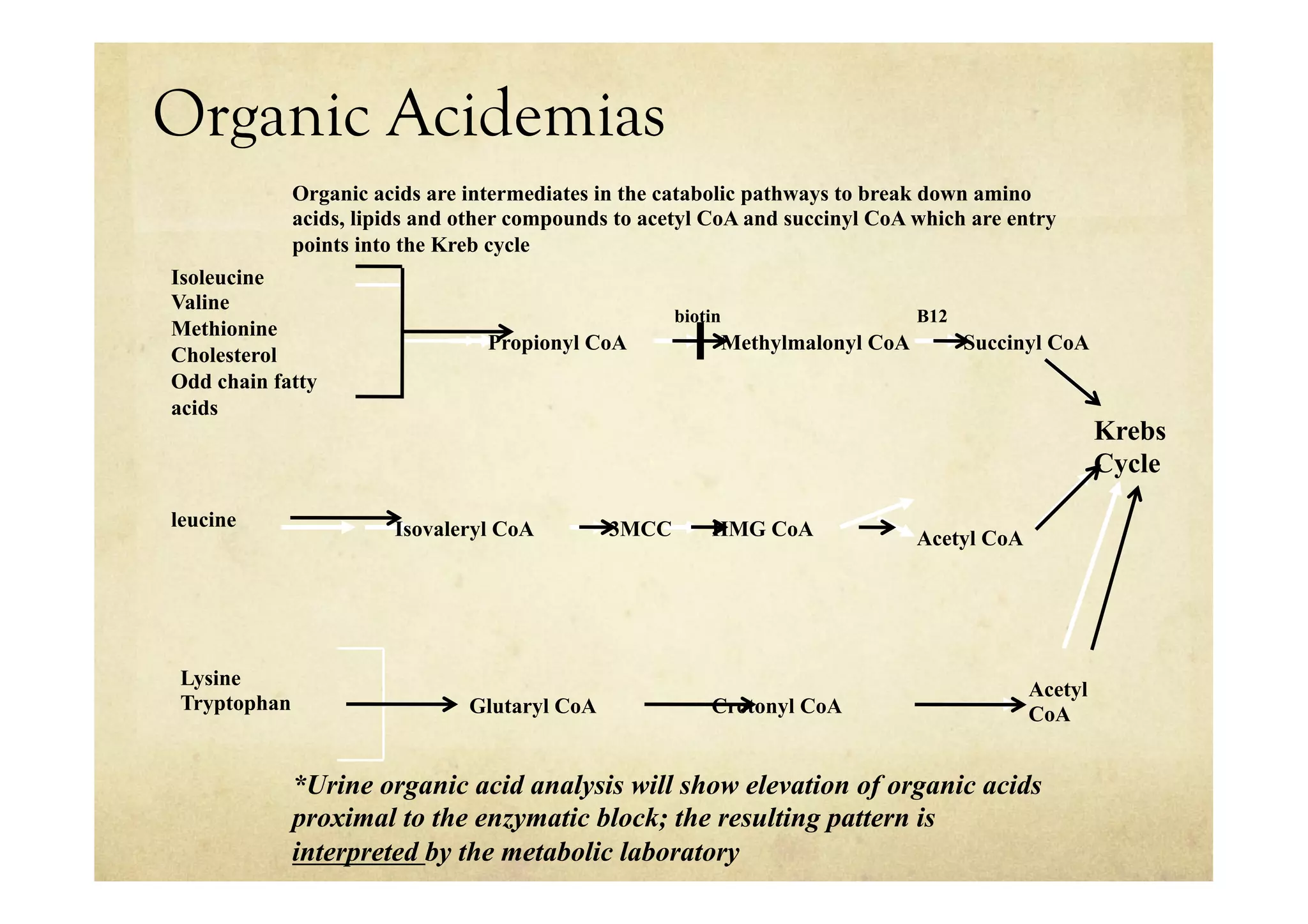 Emergency management of metabolic crisis | PDF