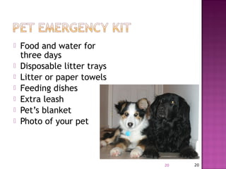 Emergency preparedness | PPT