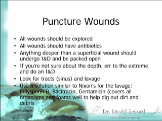 Emergency Room Notes | PPT