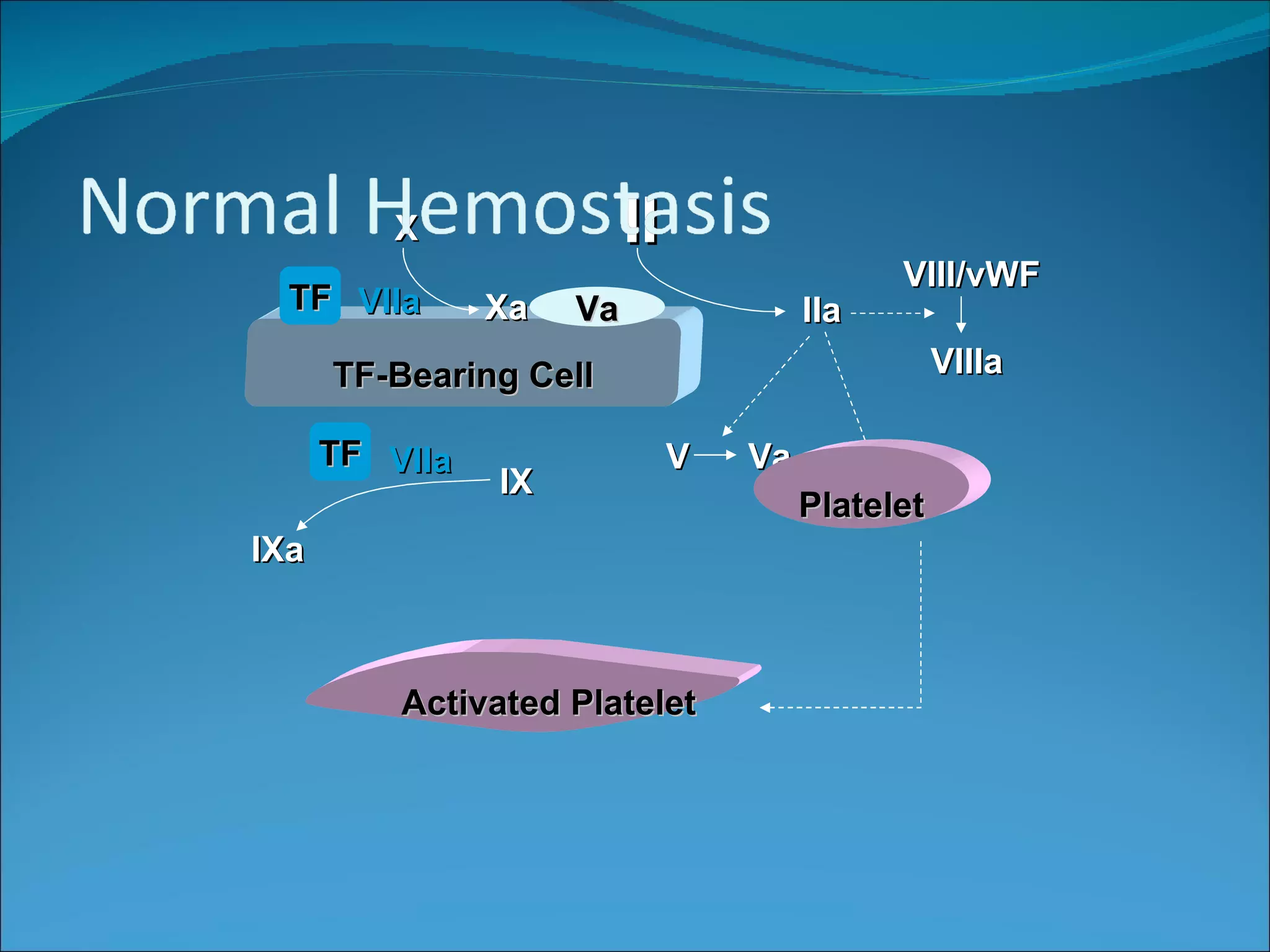 Emergency warfarin reversal a | PPT