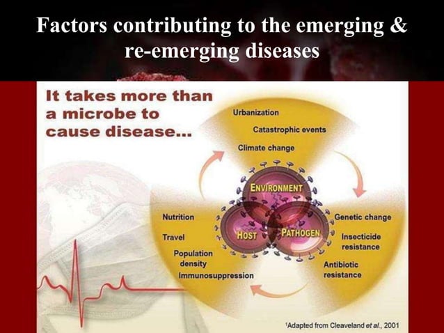 Emerging and re emerging diseases | PPTX | Cold and Flu | Diseases and ...