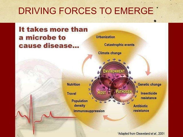 Emerging and re emerging infections | PPTX