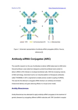 Emerging Antibody–siRNA Conjugates (ARC).pdf
