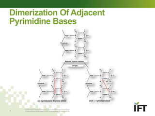 Emerging applications for food system sustainability. UVC shows ...