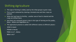 Emerging Civil Society Initiatives In Agriculture | PPT