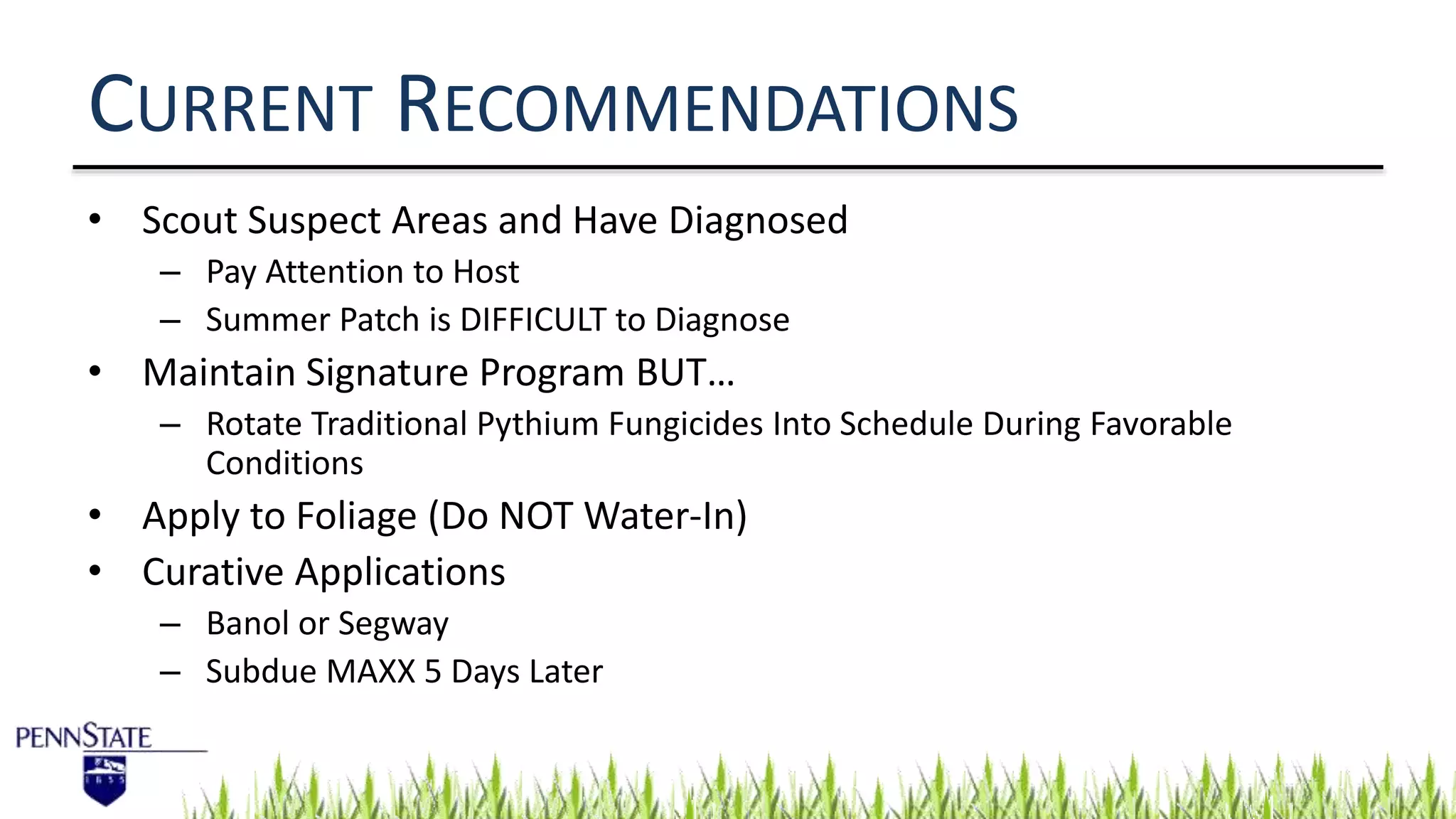 Pythium Patch Outbreaks | PPTX