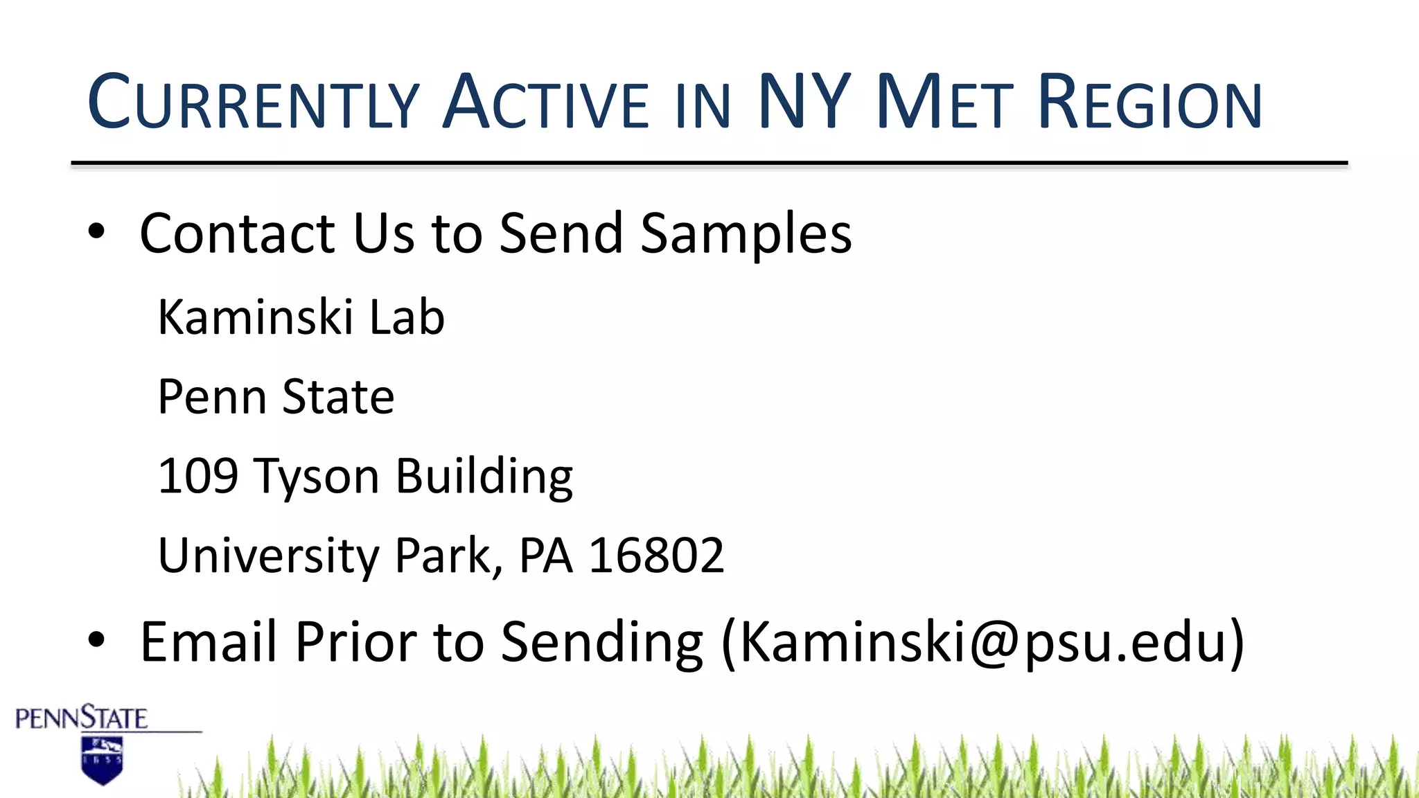 Pythium Patch Outbreaks | PPTX