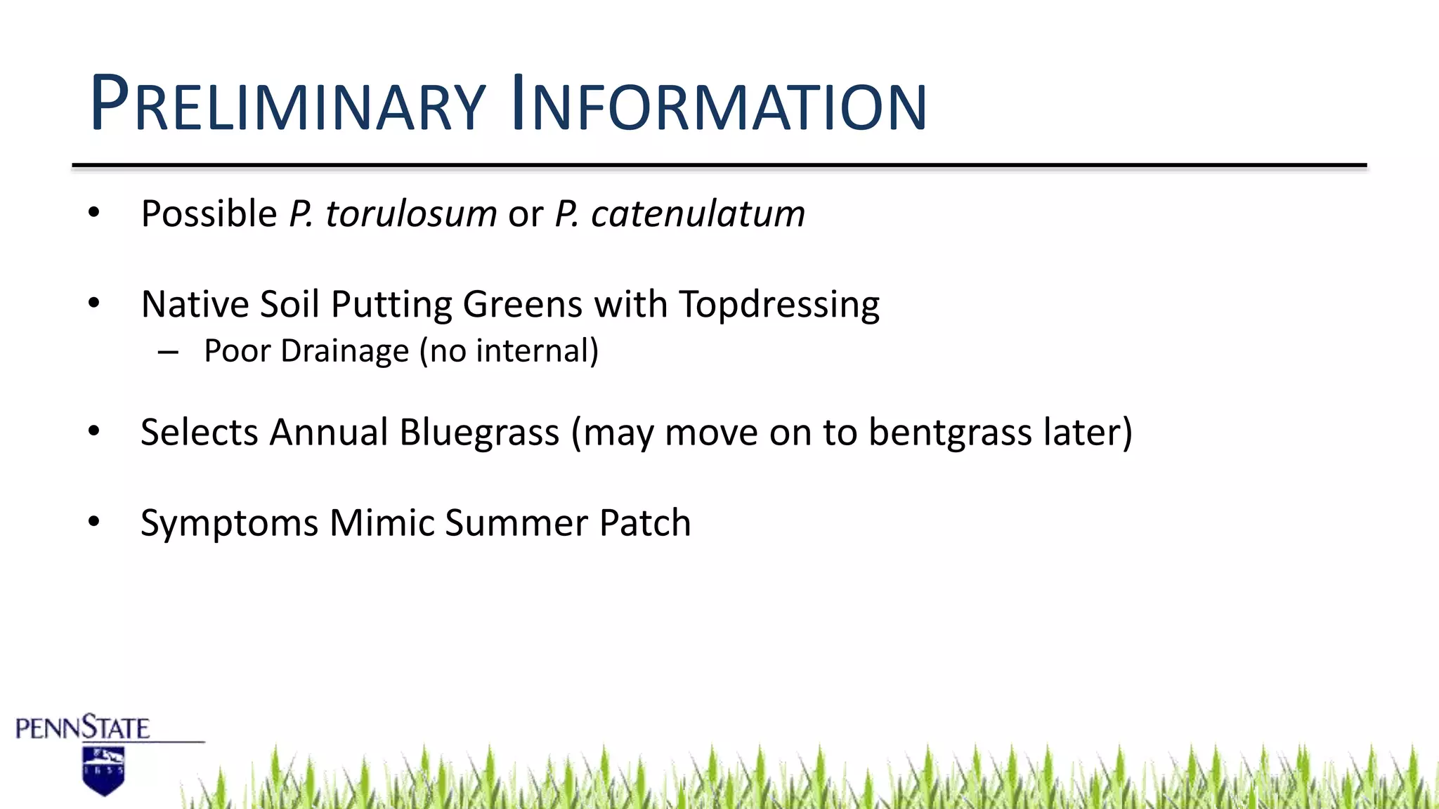 Pythium Patch Outbreaks | PPTX
