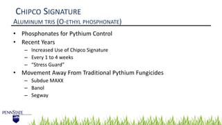 Pythium Patch Outbreaks | PPTX | Gardening | Home & Garden