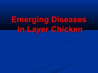 Emerging diseases in layer chicken | PPT