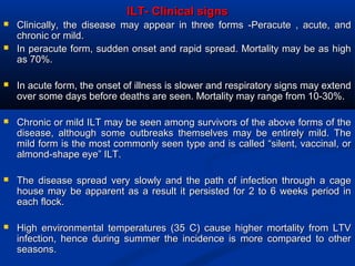Emerging diseases in layer chicken | PPT