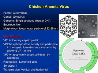 Emerging diseases in layer chicken | PPT
