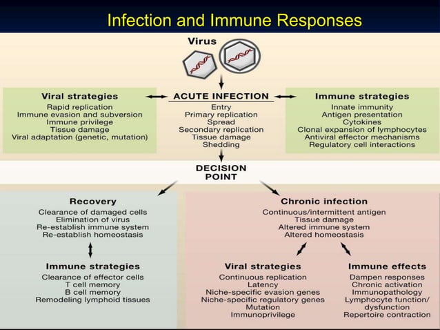 EMERGING INFECTION DISEASE.ppt