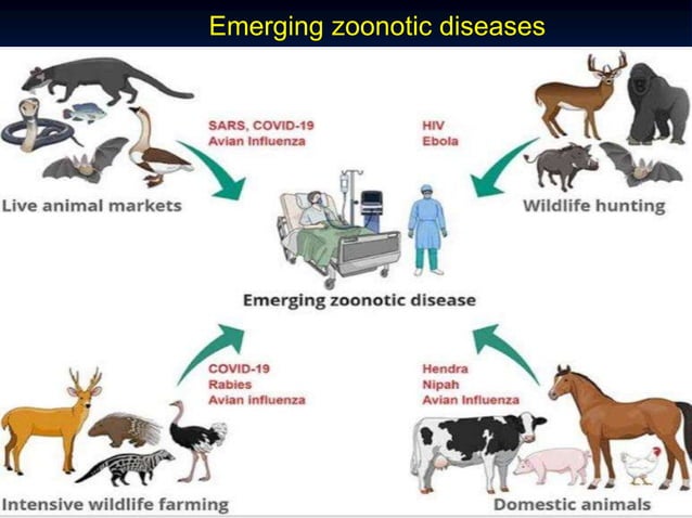 EMERGING INFECTION DISEASE.ppt