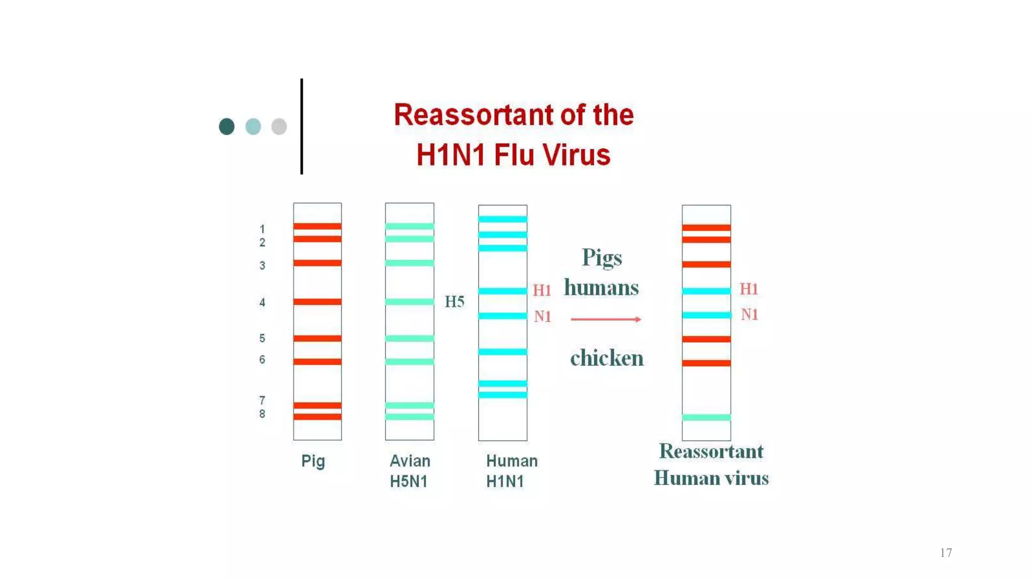 Emerging and reemerging infectious diseases | PPTX