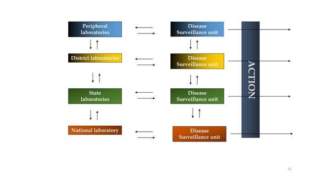 Emerging and reemerging infectious diseases | PPTX
