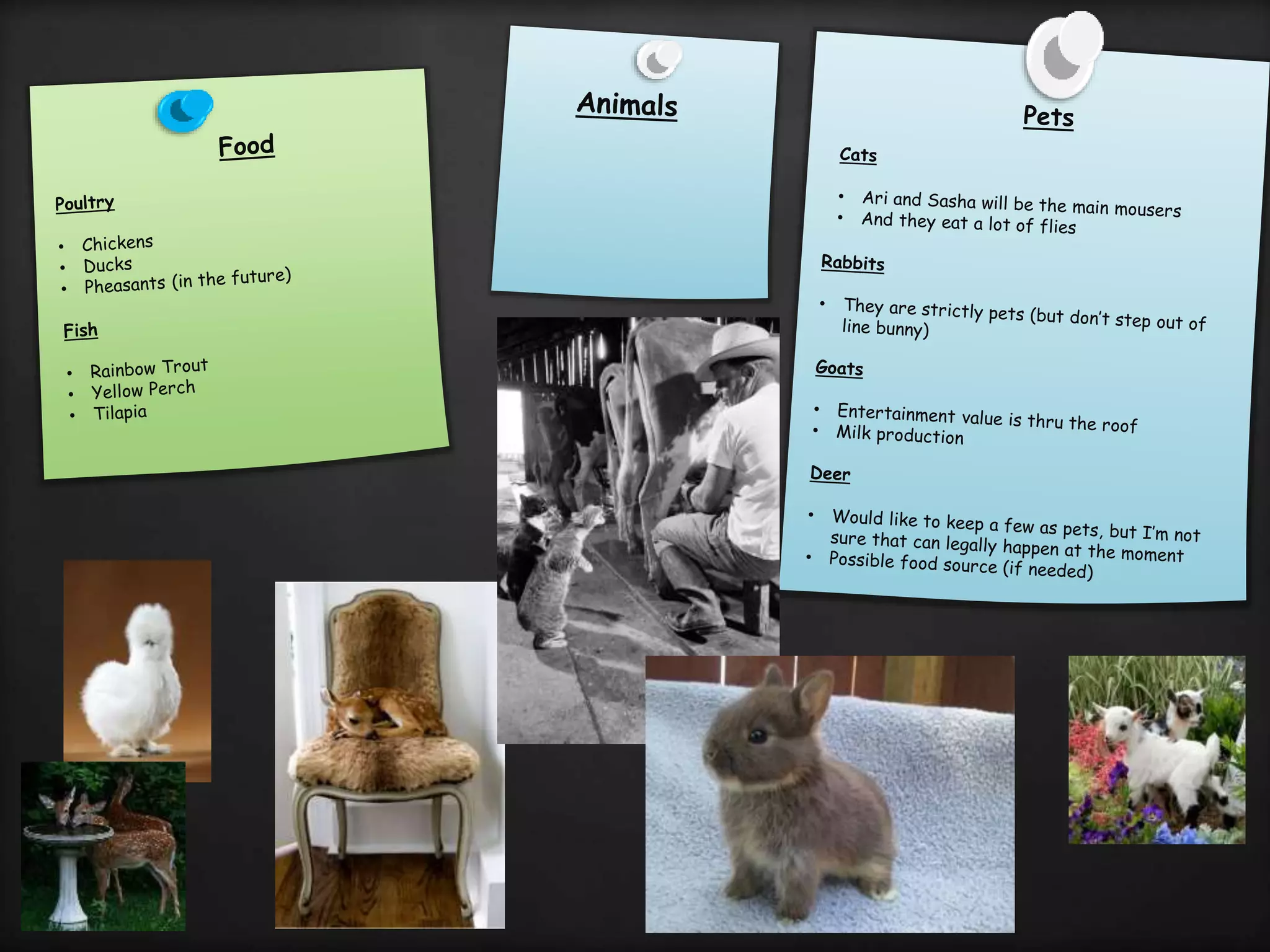 Emerging patterns | PPT