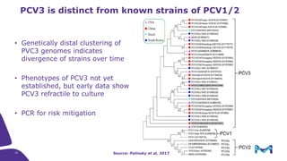Emerging Viral Risks and Mitigation Strategies in Biologics ...