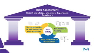 Emerging Viral Risks and Mitigation Strategies in Biologics ...