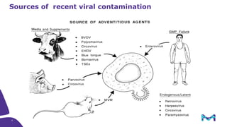 Emerging Viral Risks and Mitigation Strategies in Biologics ...