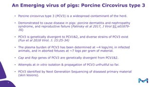 Emerging Viral Risks and Mitigation Strategies in Biologics ...