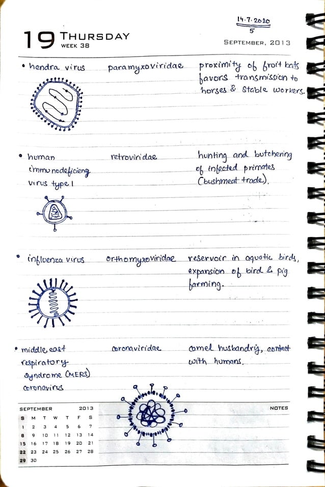 Virology Notes 2020 #22: Emerging viruses | PDF