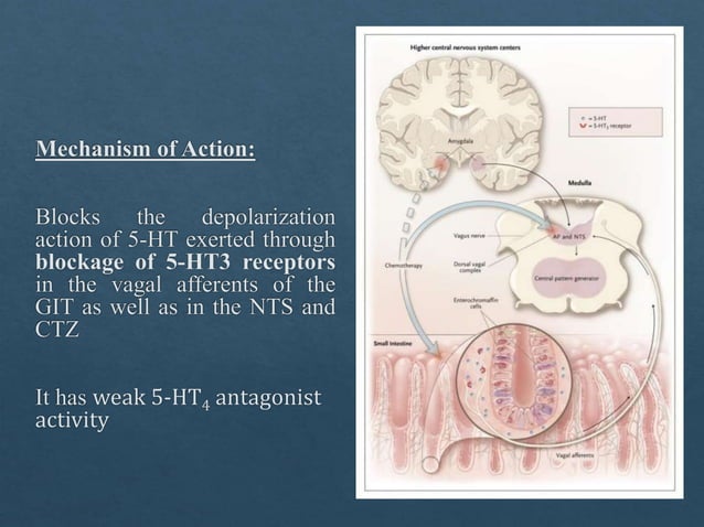 Emesis and anti emetic drugs | PPTX | Digestive Disorders | Diseases ...