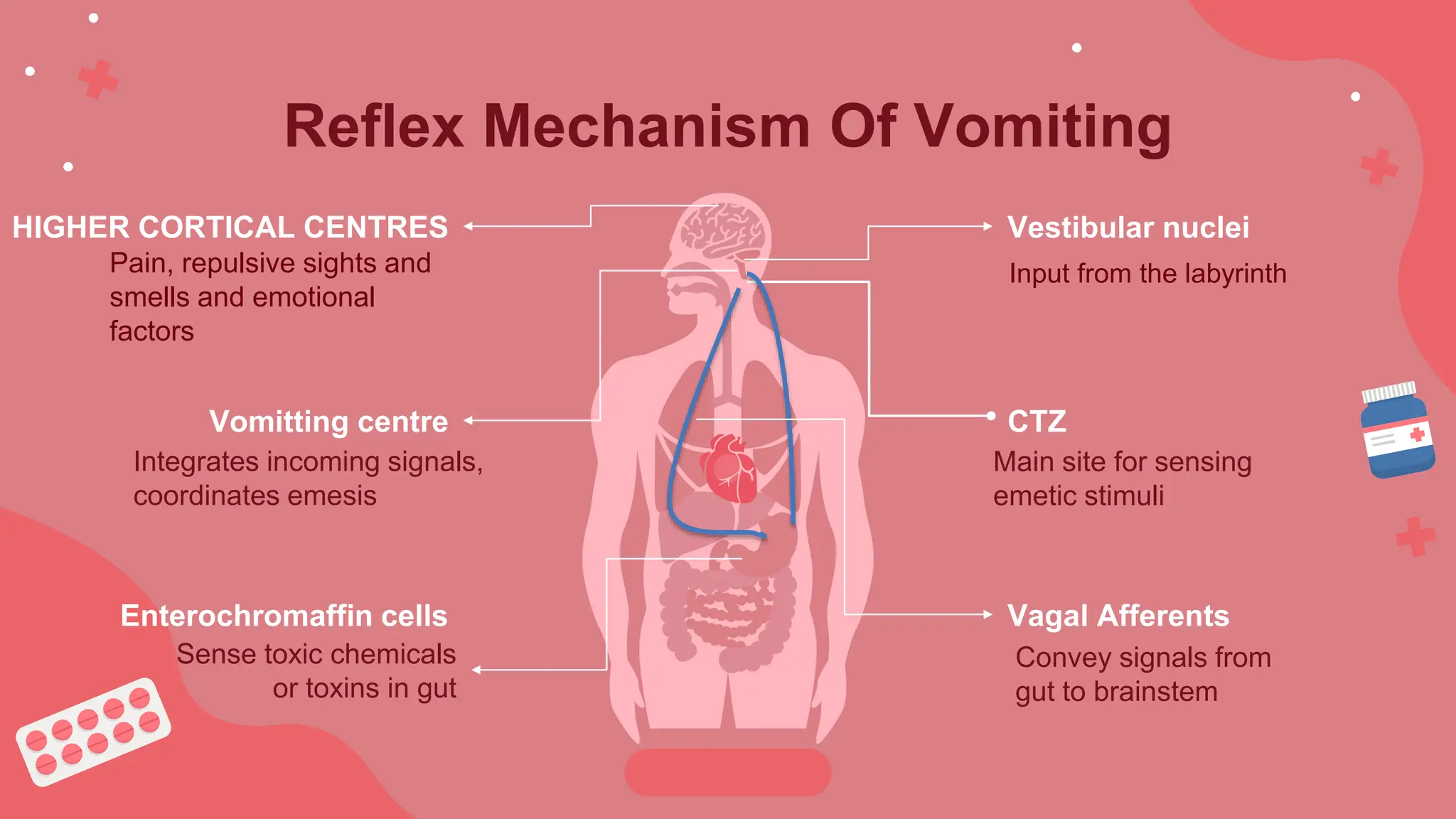 Emetics & Anti-emetics presentation for pharmacy students | PPTX