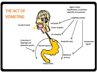 Emetics and expectorant | PPT
