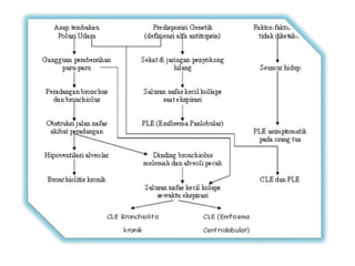 Emfisema_ppt (2).pptx