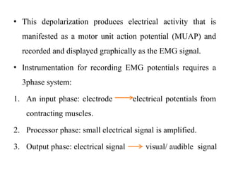 Emg | PDF