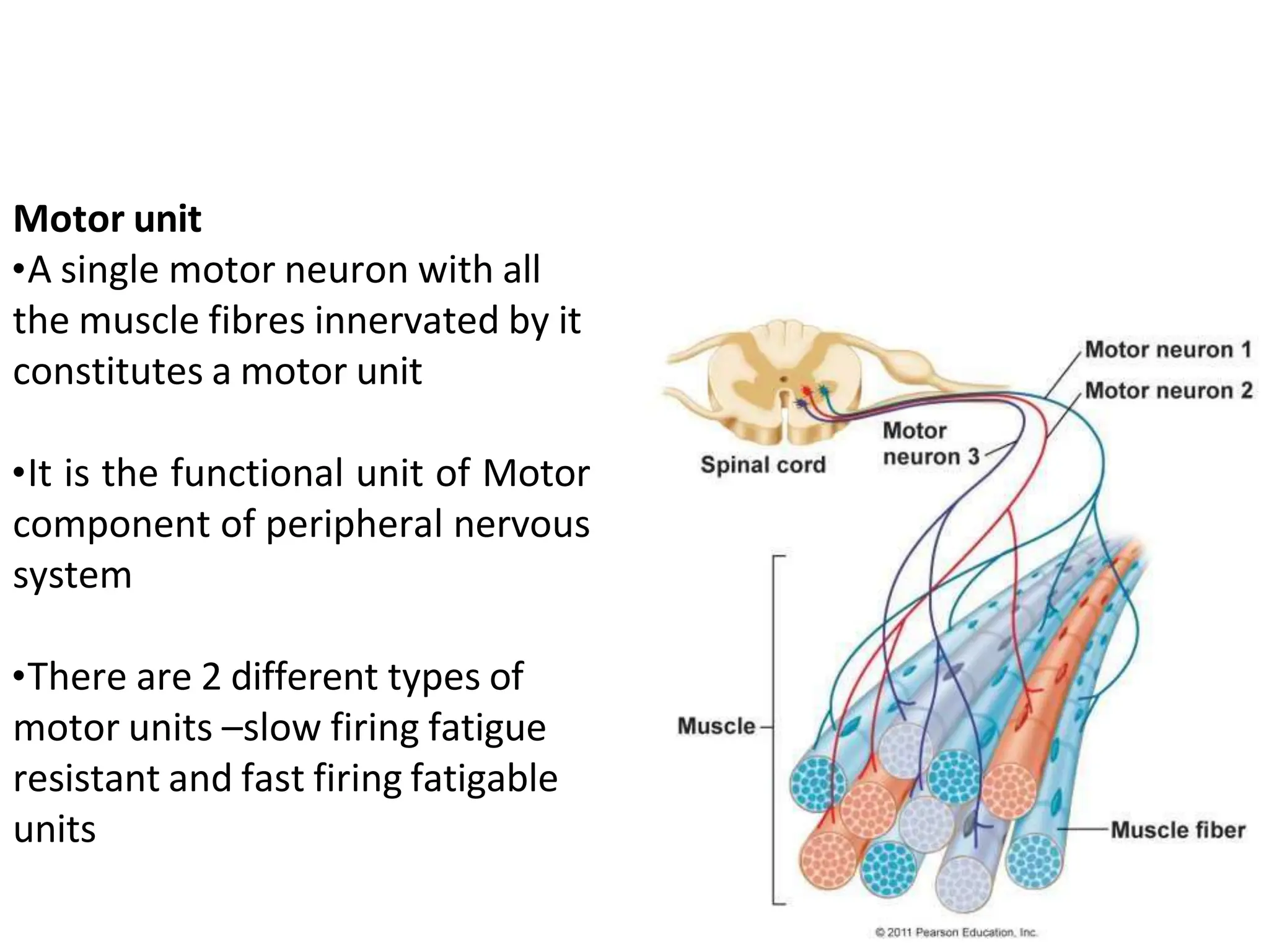 emgpresentation-161114163\359.pptx abcdefghijh | PPTX