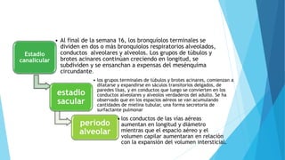 Enfermedad de la Membrana Hialina | PPTX