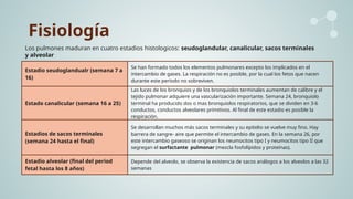 ENFERMEDSD DE MEMBRANA HIALINA - SURFACTANTE | PPTX