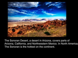 Emile Harmon: Sonoran Desert | PPT | Geography | Science