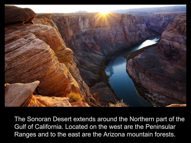 Emile Harmon: Sonoran Desert | PPT | Geography | Science