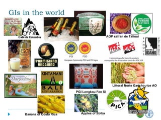 Emilie fao gi-kiev ENG | PPT