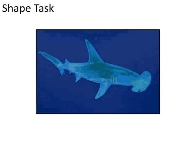 Development Pro Forma | PPT