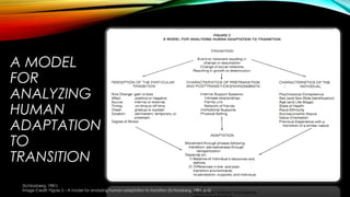 Schlossberg's Transition Theory | PDF
