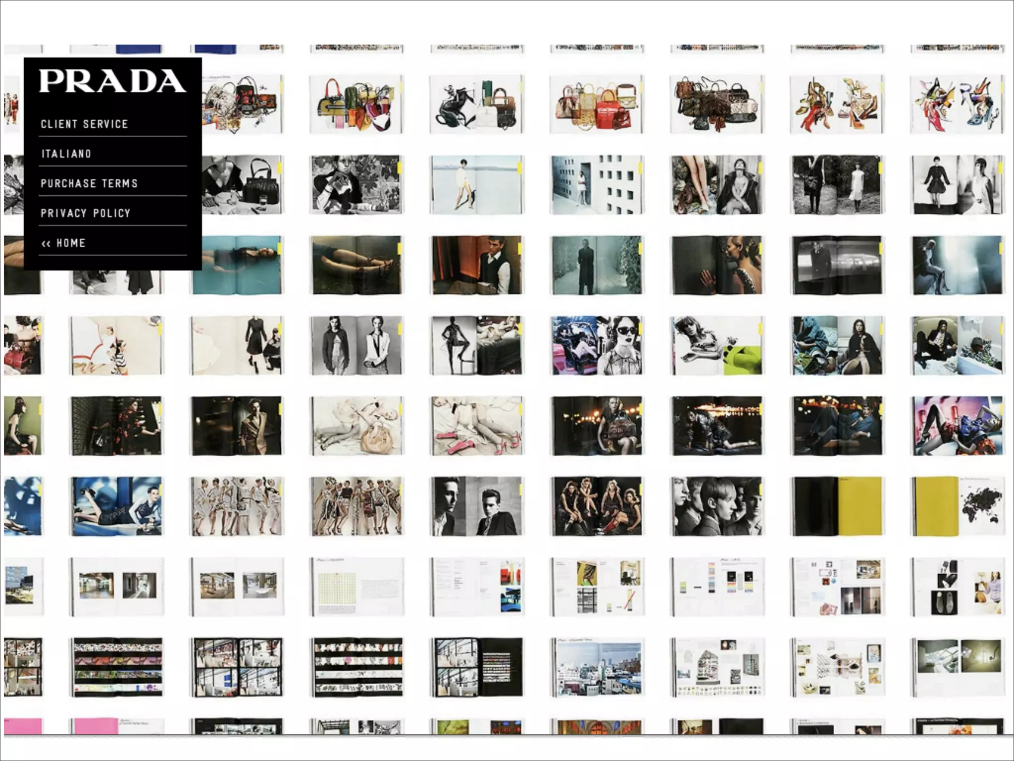 Emily vandenoever prada01 | PPT
