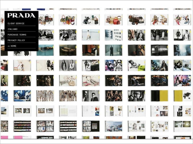 Emily vandenoever prada01 | PPT