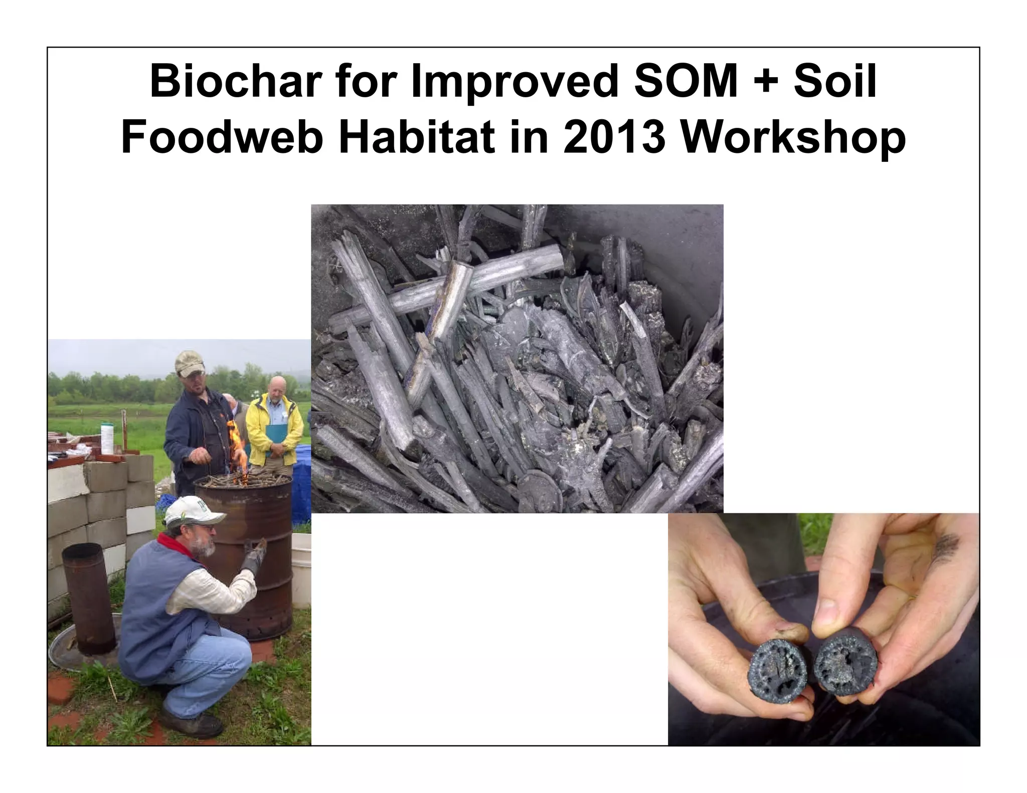 Microbial Inoculants: Effective Microorganisms (EM) & Indigenous ...